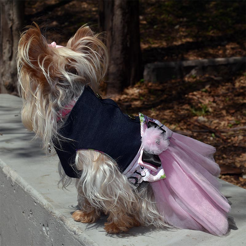 Ropa para perros en CDMX, Boutique de Moda Canina en México