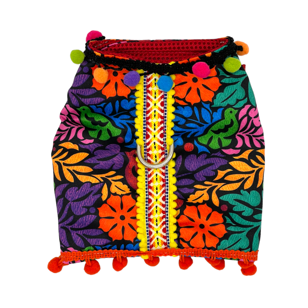 Pechera mexicana multicolor - Meztli's World